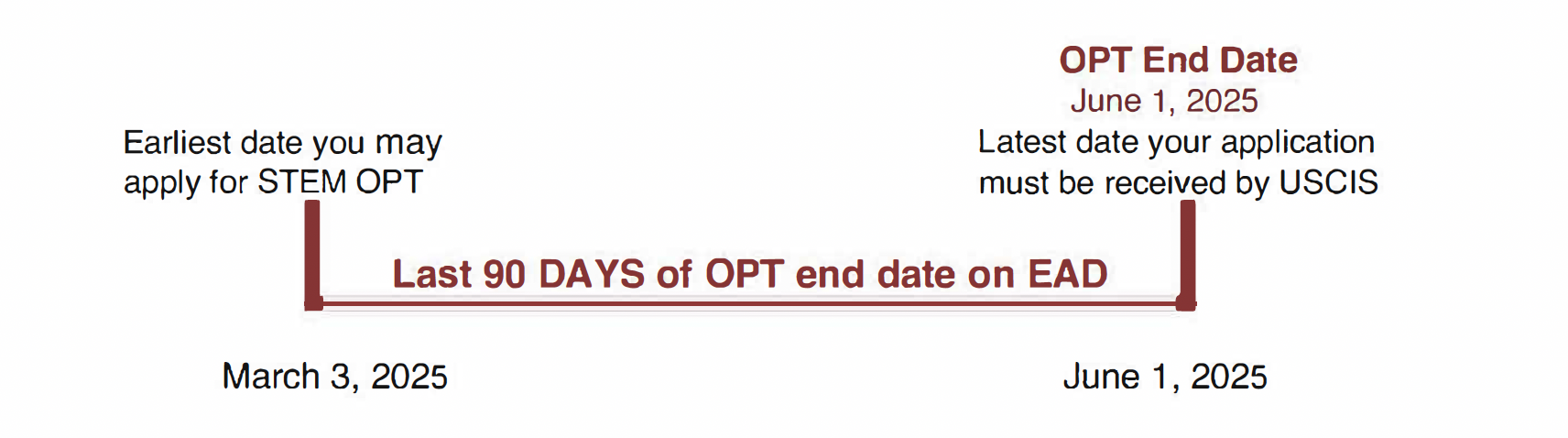 OPT Explained: Your Friendly Guide